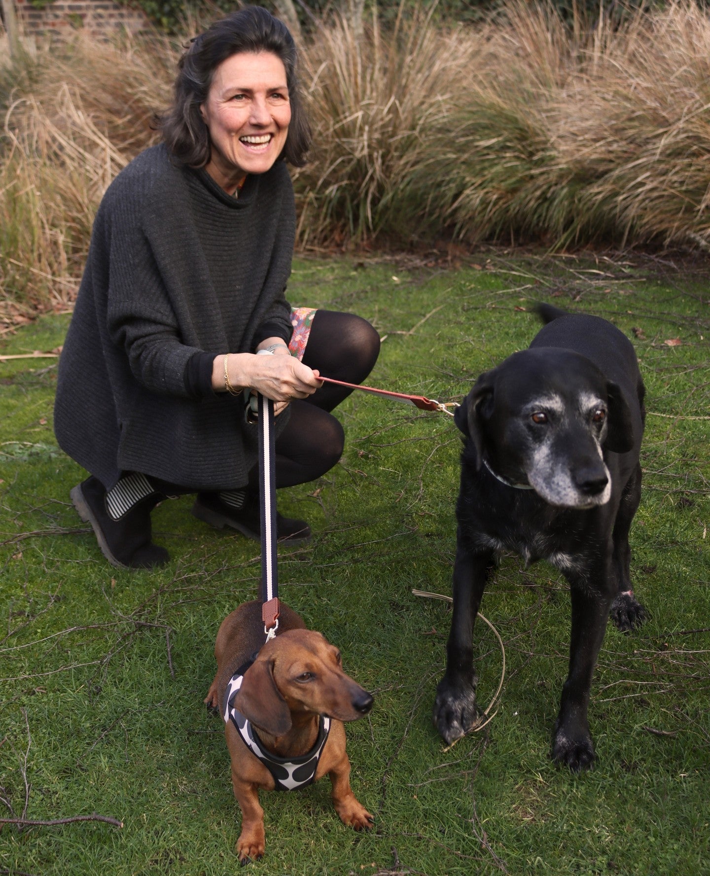Meet Caroline's Dogs, Frank & Miller – Caroline Gardner